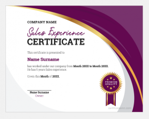 5 Best Sales Experience Certificate Templates | Editable
